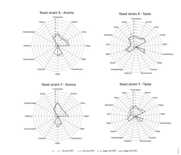 How to Bottle Condition Beer - Murphy and Son