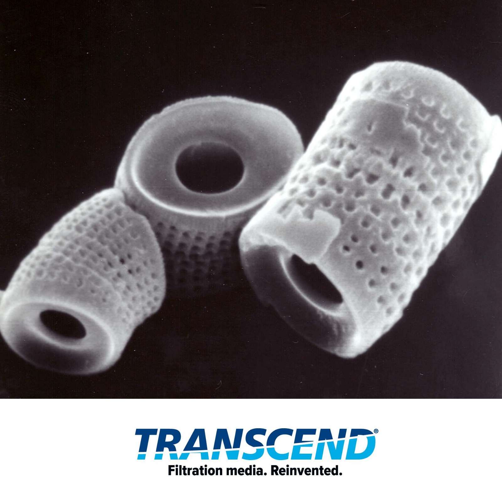 Celatom Diatomite Filter Aids FW - Murphy and Son