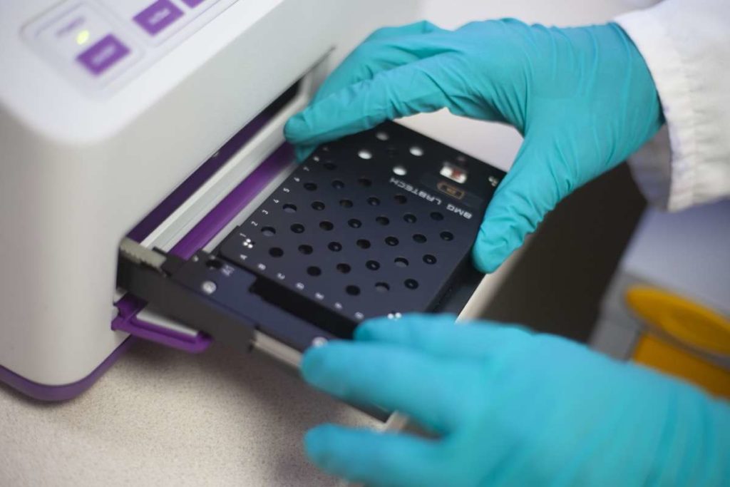 Gluten Analysis - Murphy and Son