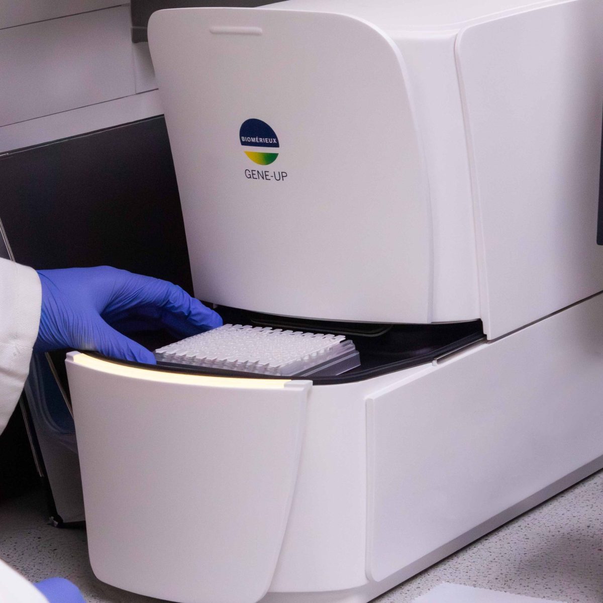 Polymerase Chain Reaction (PCR) - Murphy and Son