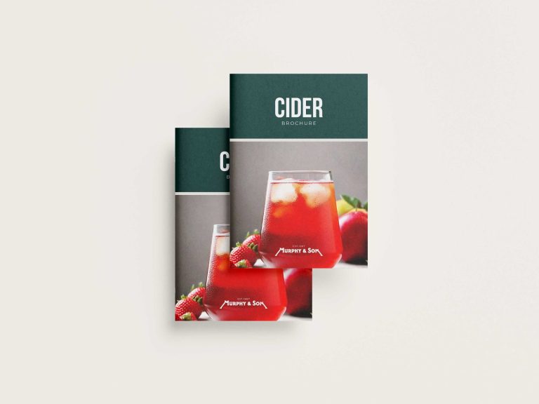 View our Brochures & Guides - Murphy and Son